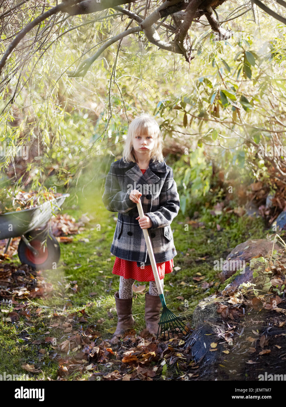 Girl raking leaves Stock Photo - Alamy