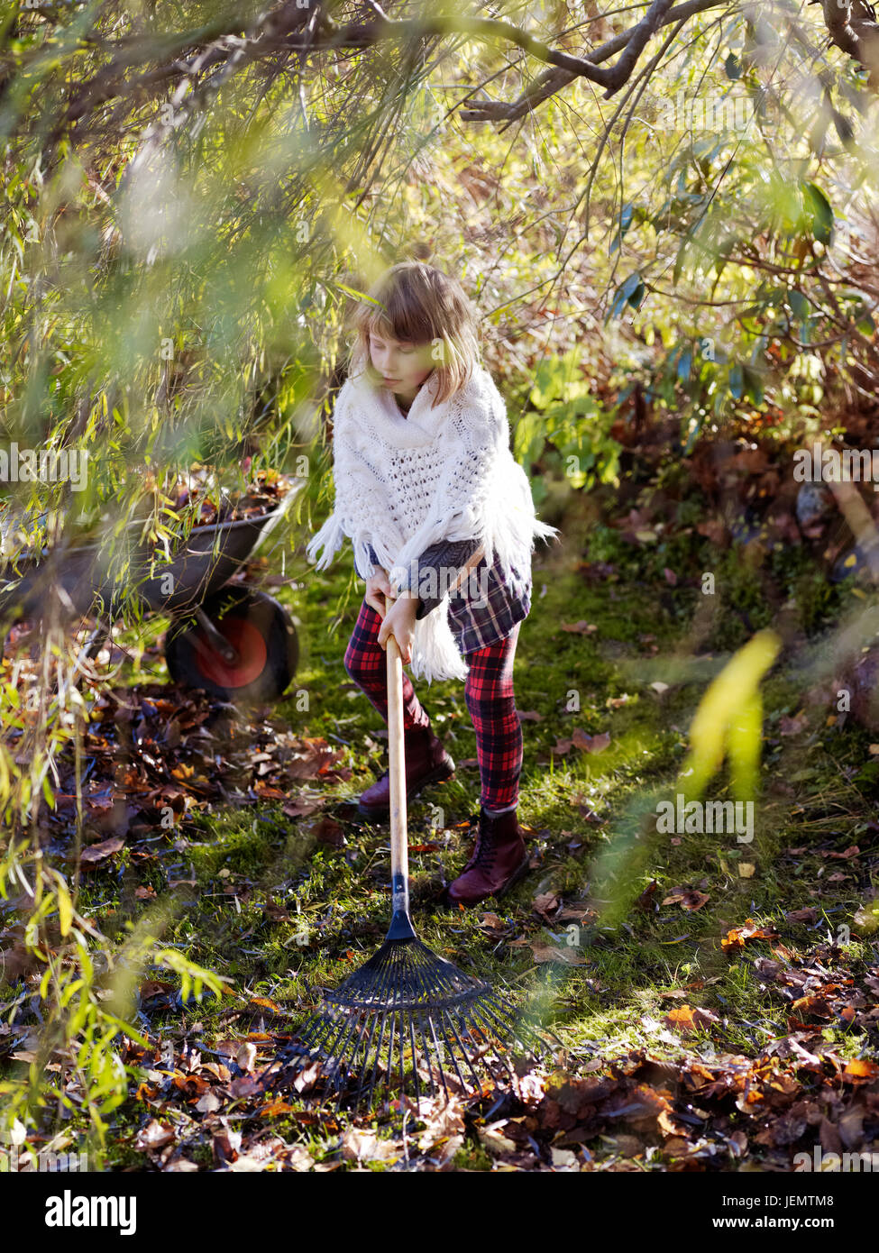 Girl raking leaves Stock Photo - Alamy
