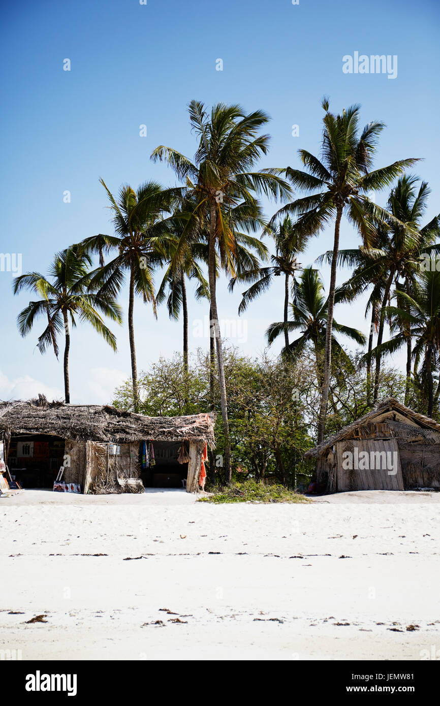 Palm trees and thatched buildings on beach Stock Photo - Alamy