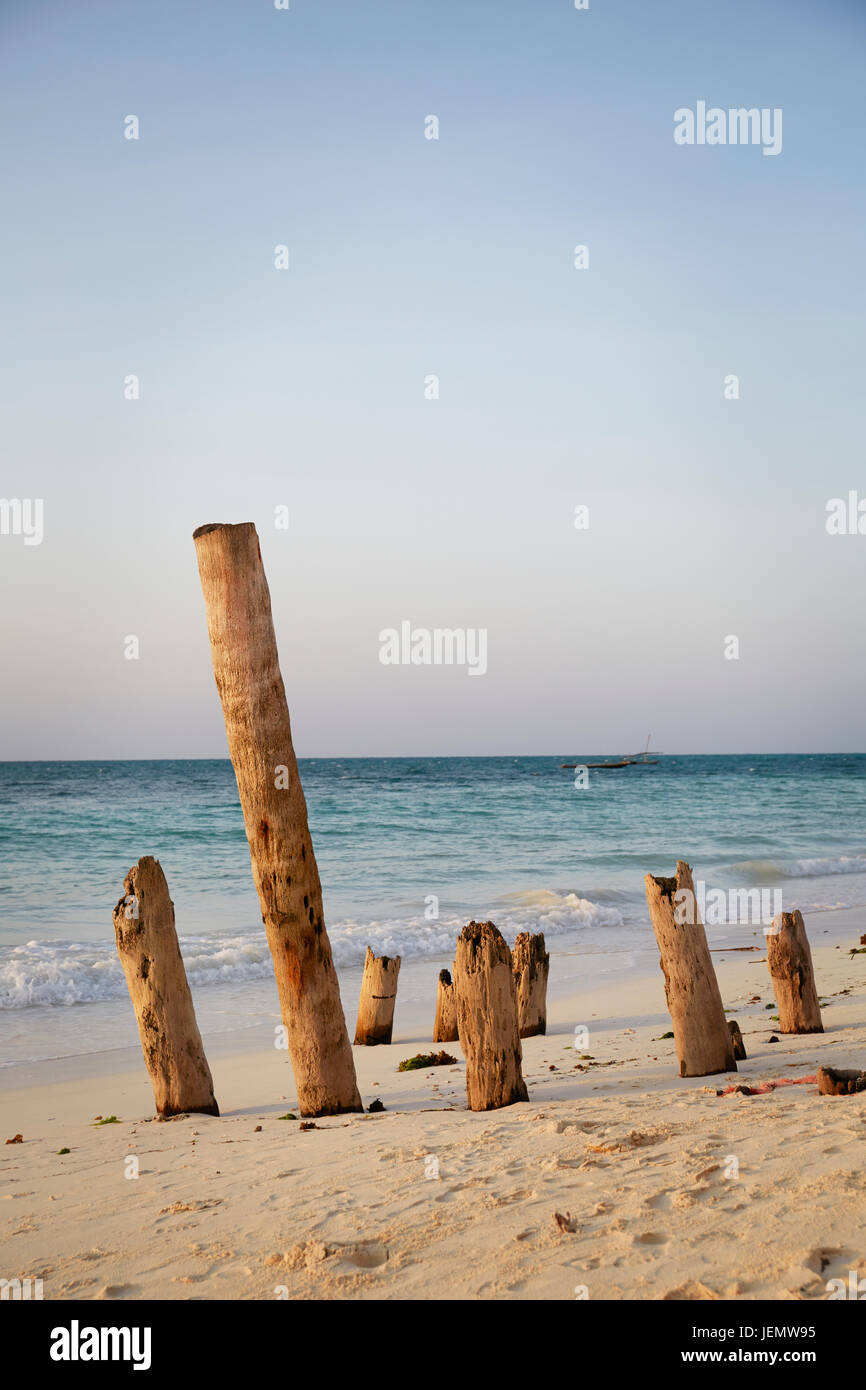 Wooden poles on beach Stock Photo - Alamy