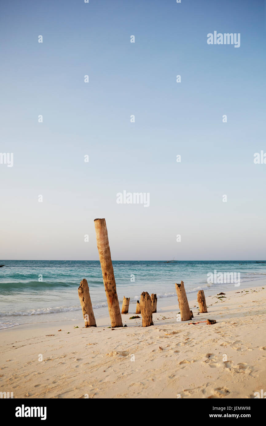 Wooden poles on beach Stock Photo - Alamy