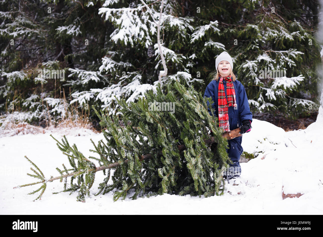 Girl in forest near pine tree Stock Photo - Alamy