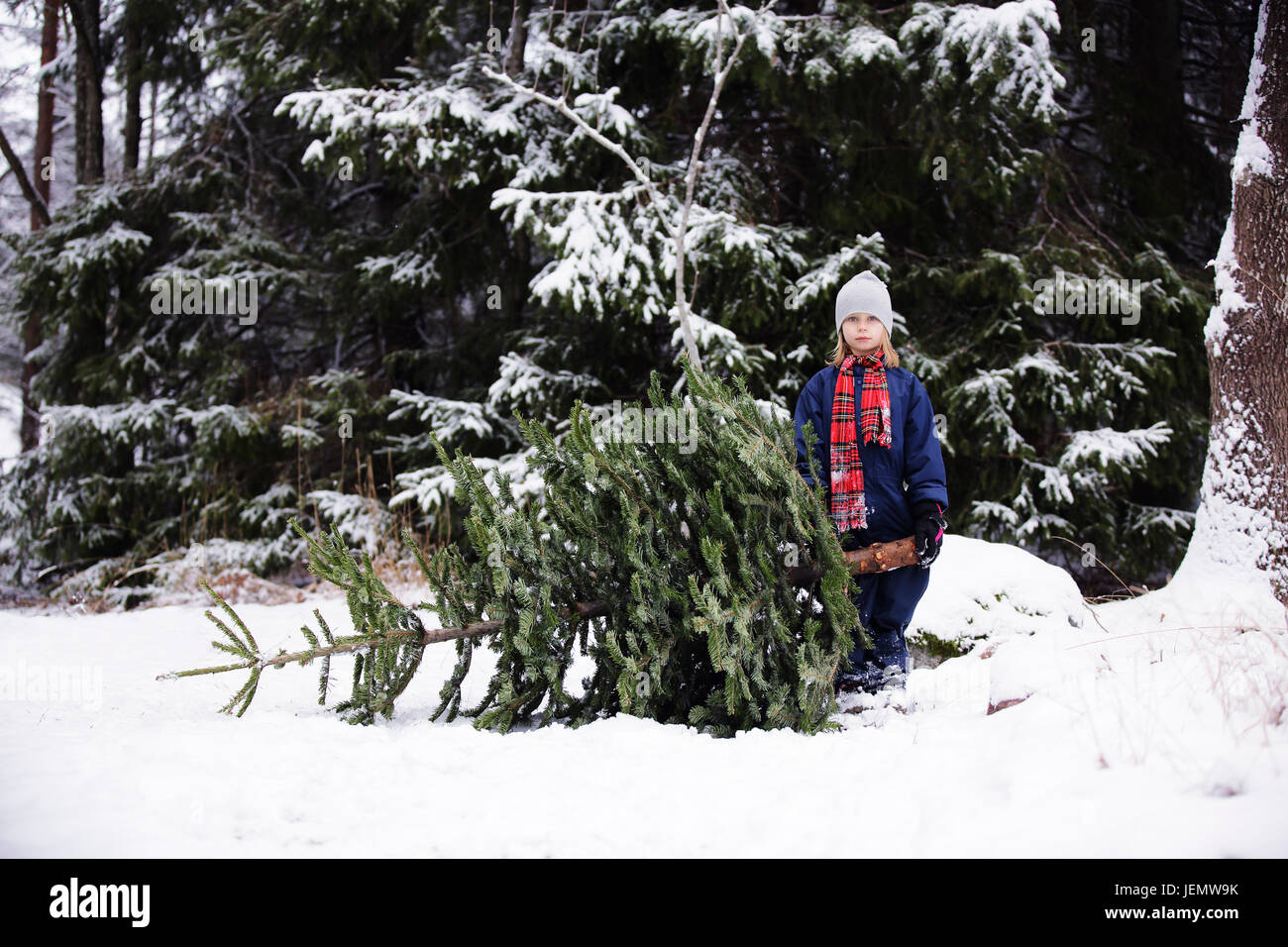 Girl in forest near pine tree Stock Photo - Alamy