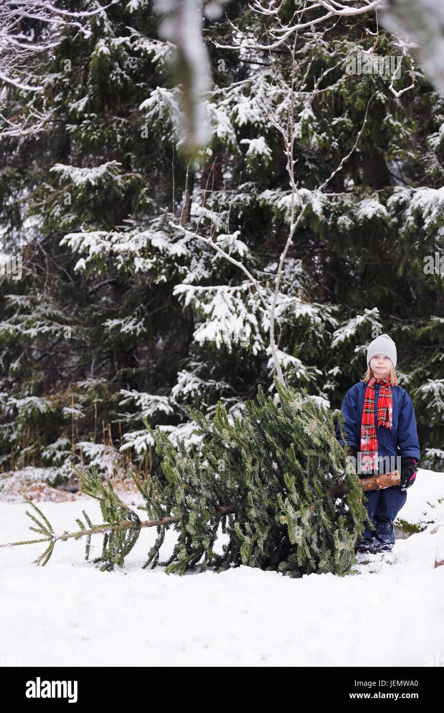Girl in forest near pine tree Stock Photo - Alamy