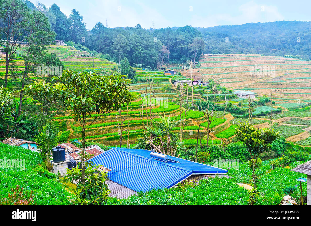 Discover sri lanka High Resolution Stock Photography and Images - Alamy