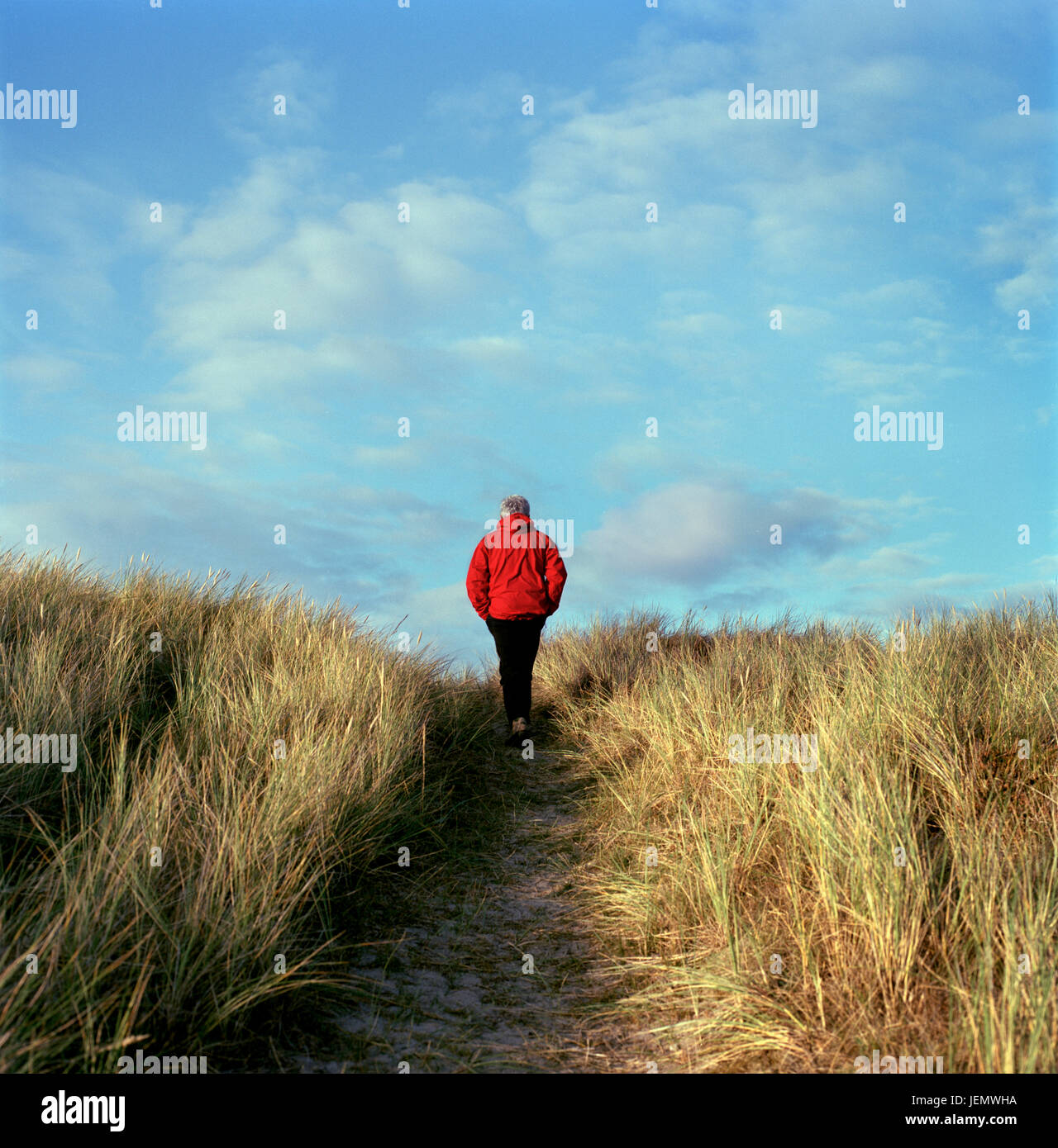 Pathway through common hi-res stock photography and images - Alamy