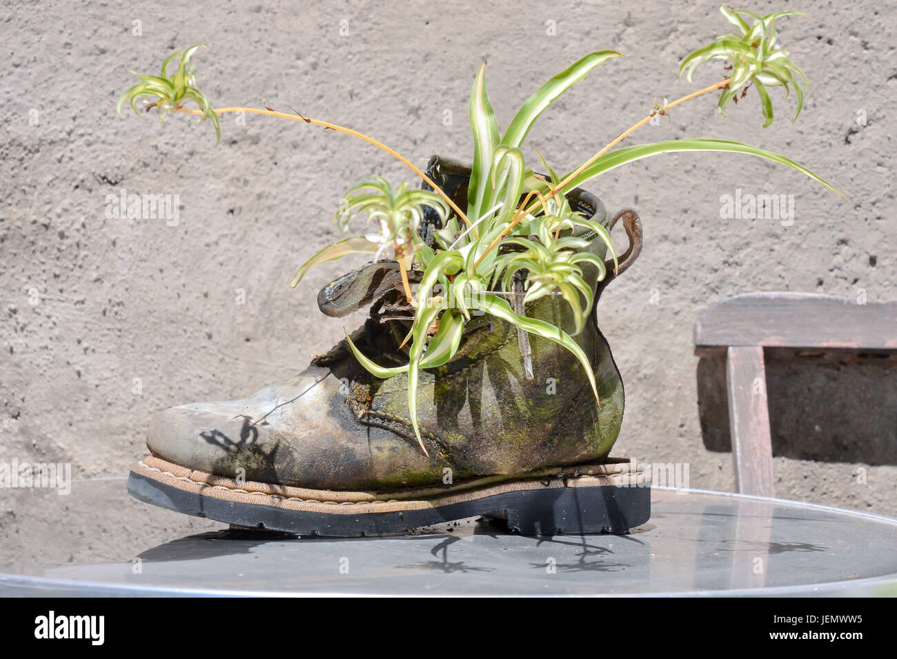 Strange Unusual Plant Pot Stock Photo - Alamy