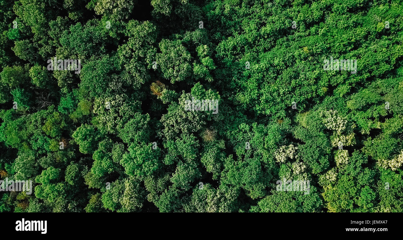 Drone aerial flyover hi-res stock photography and images - Alamy