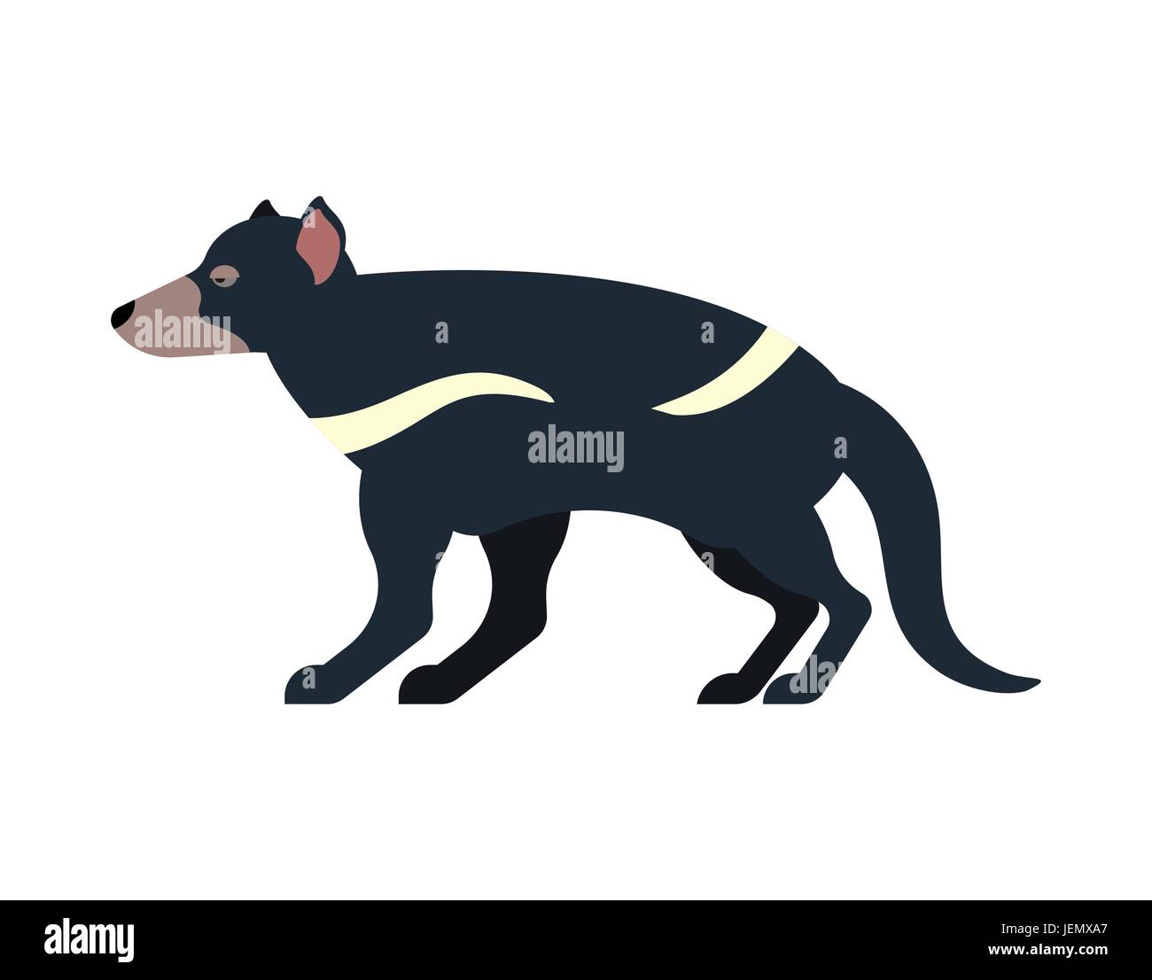 Small marsupial Cut Out Stock Images & Pictures - Alamy