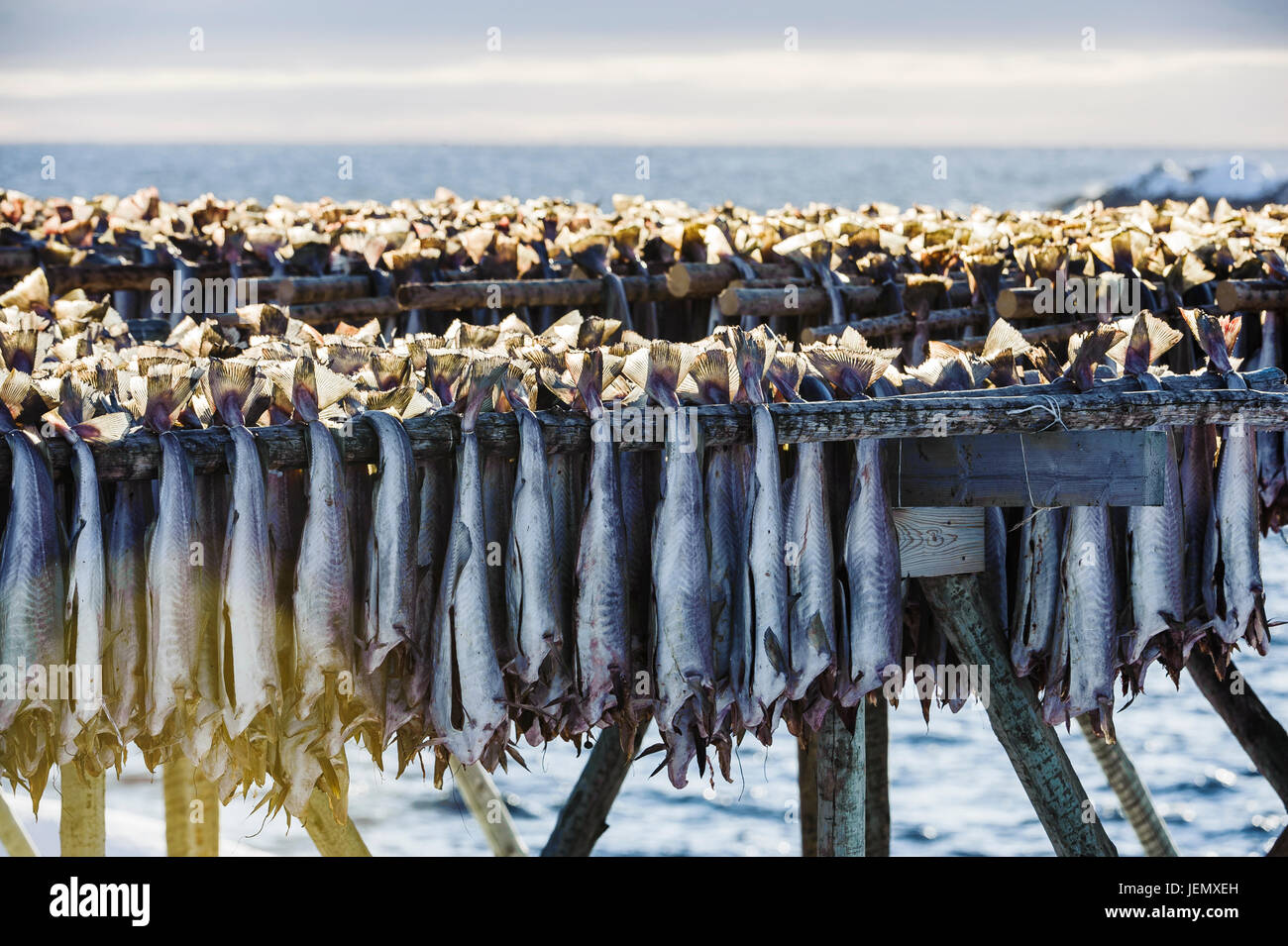 Fish drying on rack at sea Stock Photo - Alamy