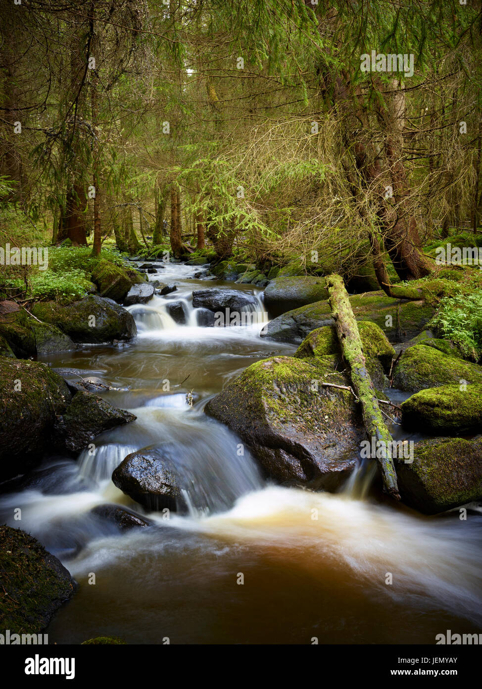 Stream with small waterfalls in forest Stock Photo - Alamy