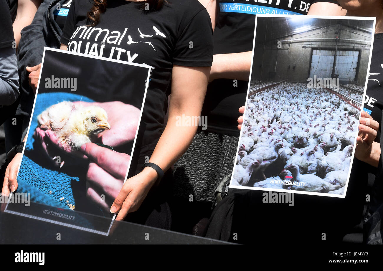 Representatives of "Animal Equality" hol up posters showing images from ...