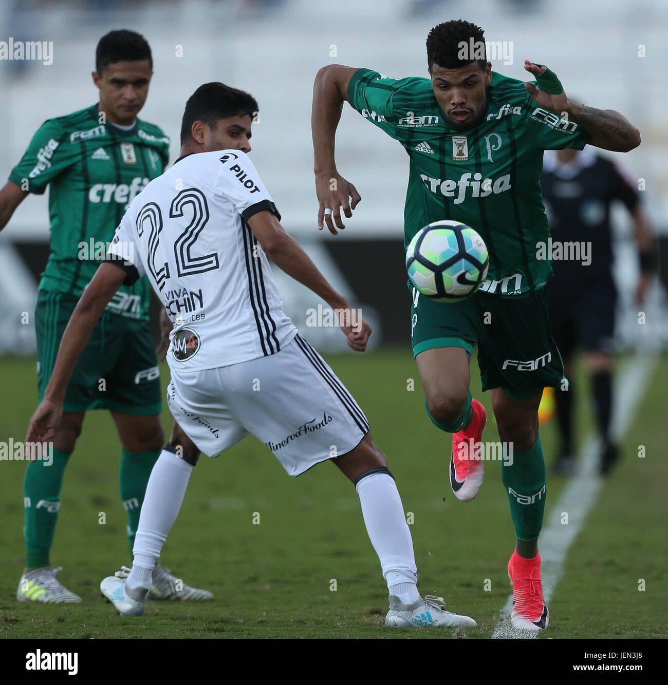 CAMPINAS, SP - 25.06.2017: PONTE PRETA X PALMEIRAS - SE Palmeiras's ...