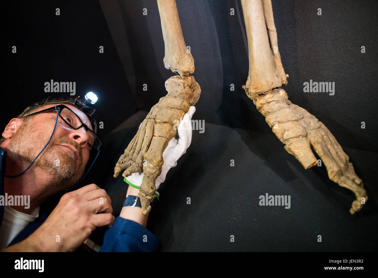 Nuremberg, Germany. 26th June, 2017. A Germanic National Museum worker ...