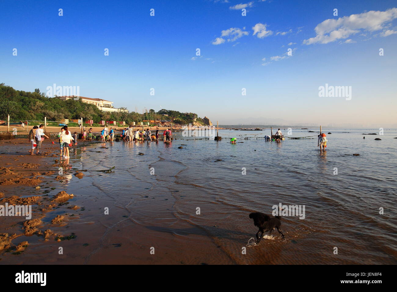 Beidaihe beach hi-res stock photography and images - Alamy