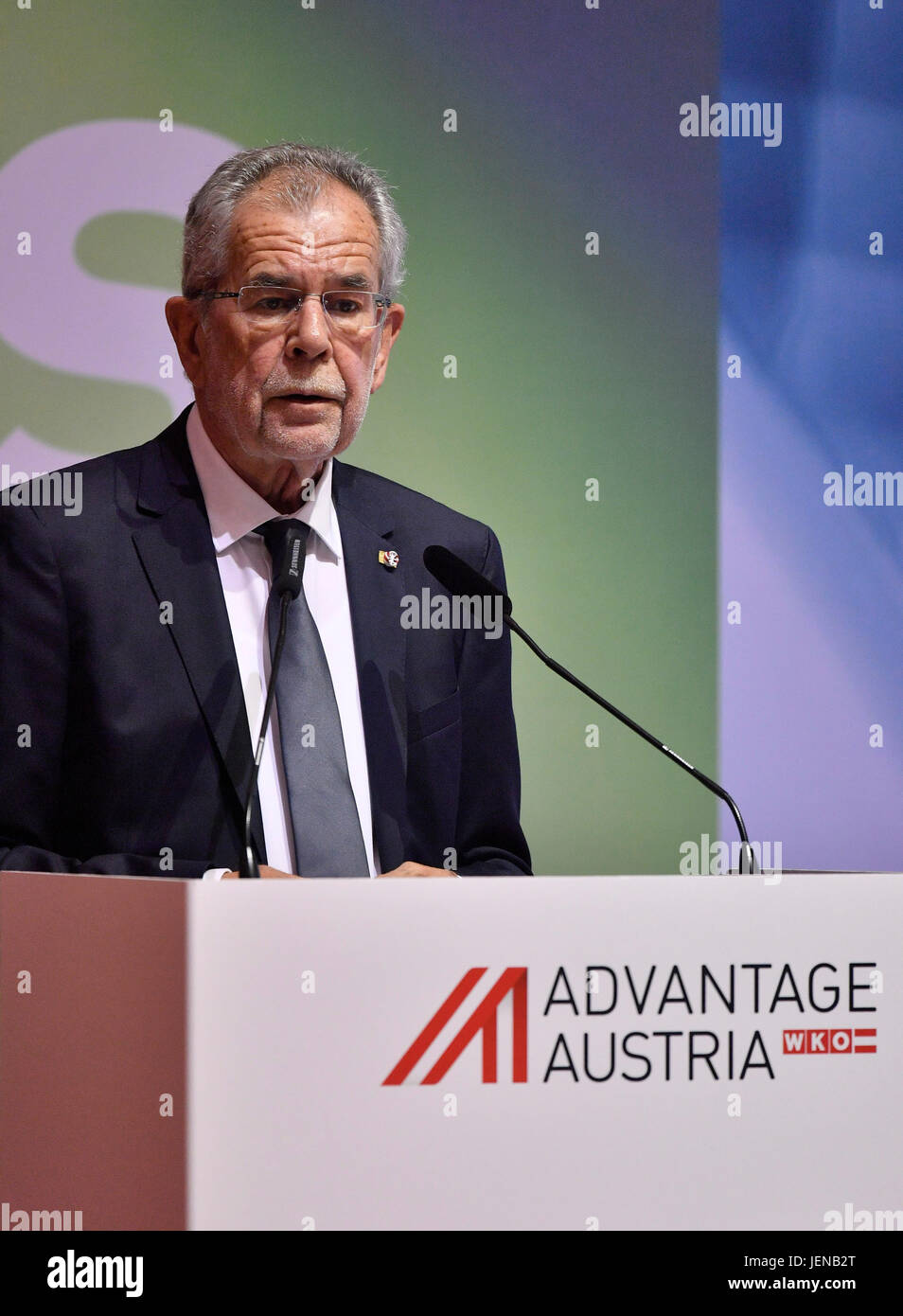 Austrian President Alexander Van der Bellen attends the Austrian-Czech ...