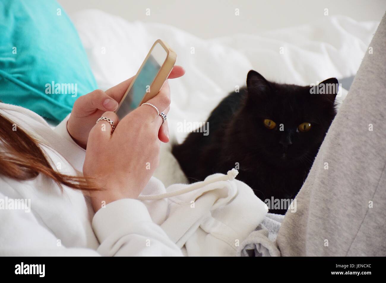 Girl Sitting in bed with her cat using her mobile phone Stock Photo - Alamy