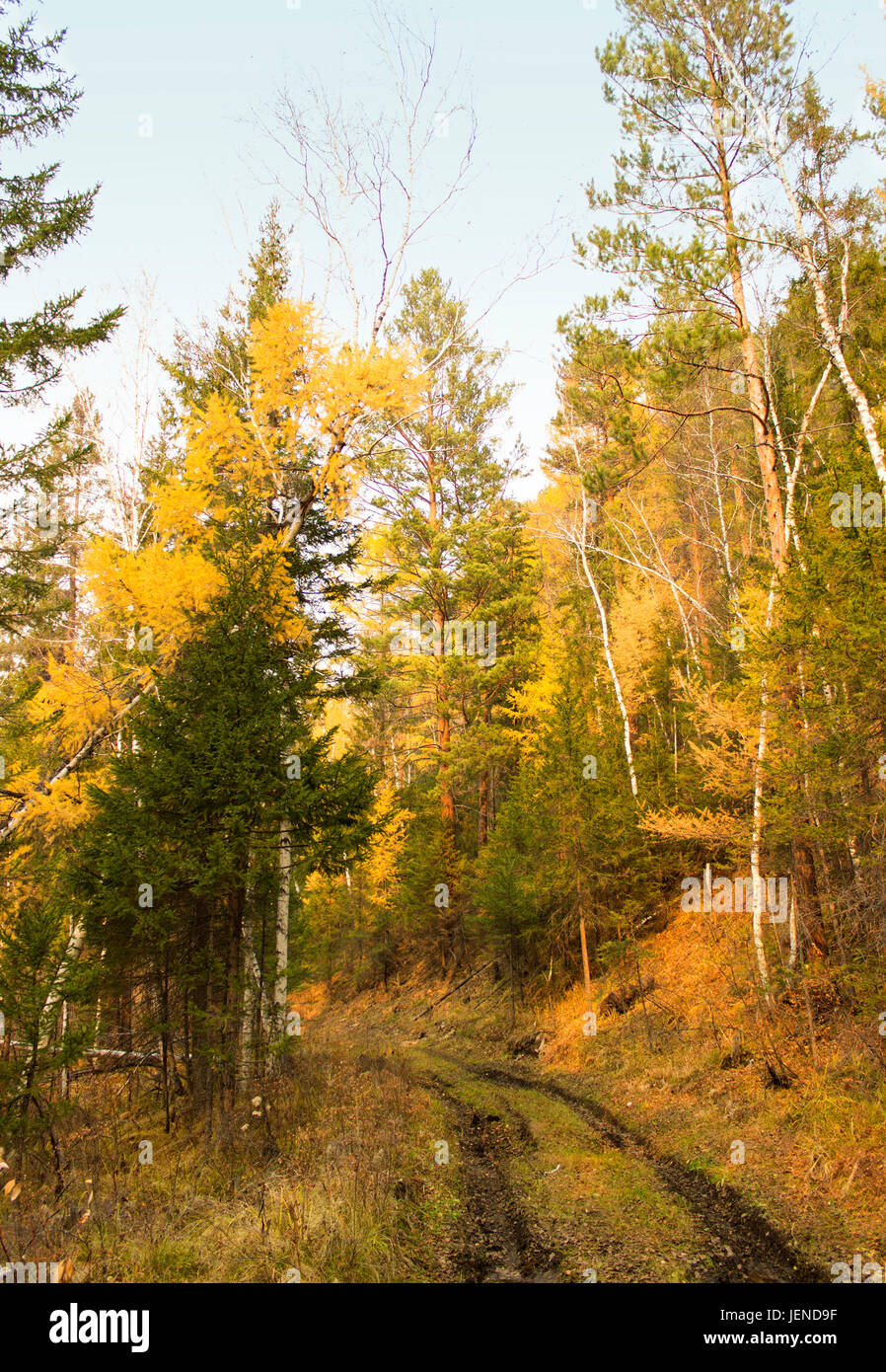 Siberia landscape hi-res stock photography and images - Alamy