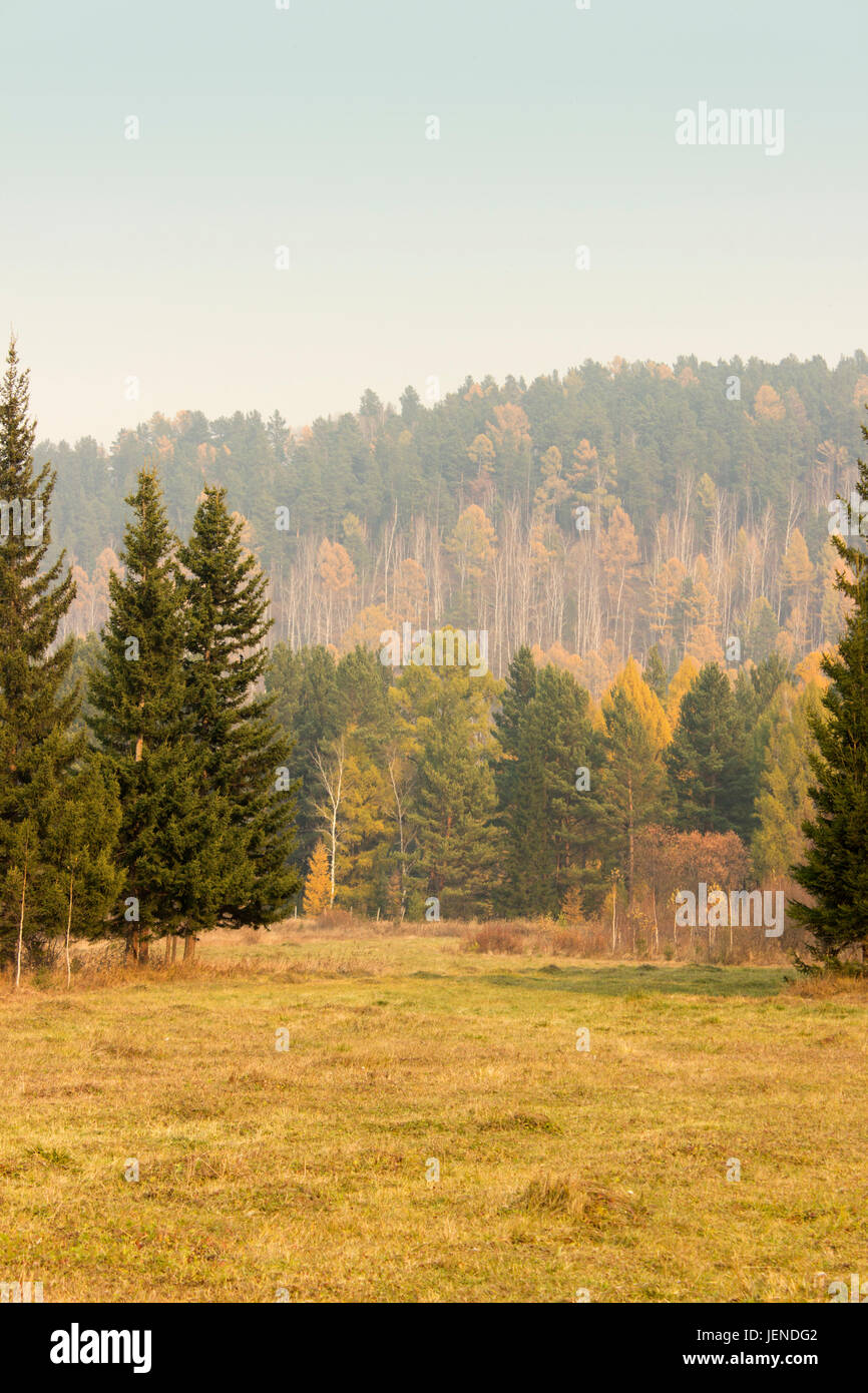Colorful forest landscape hi-res stock photography and images - Alamy