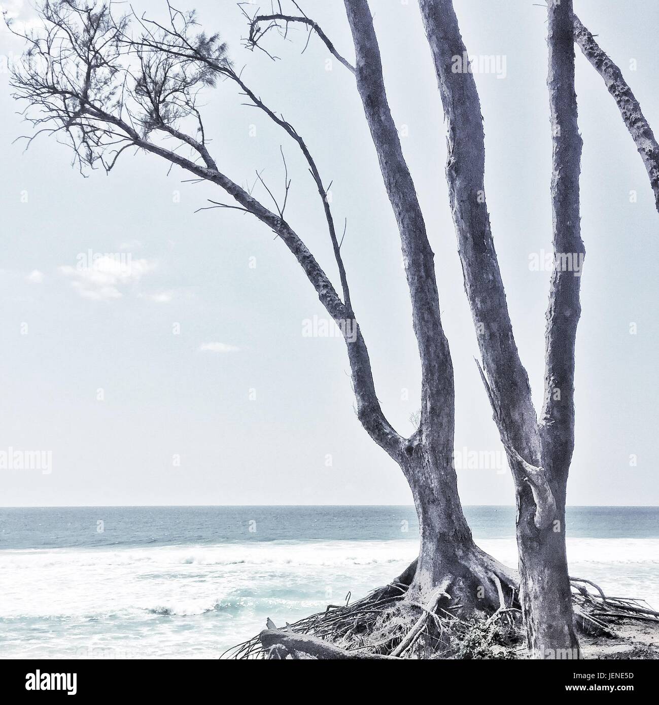 Sodwana hi-res stock photography and images - Alamy