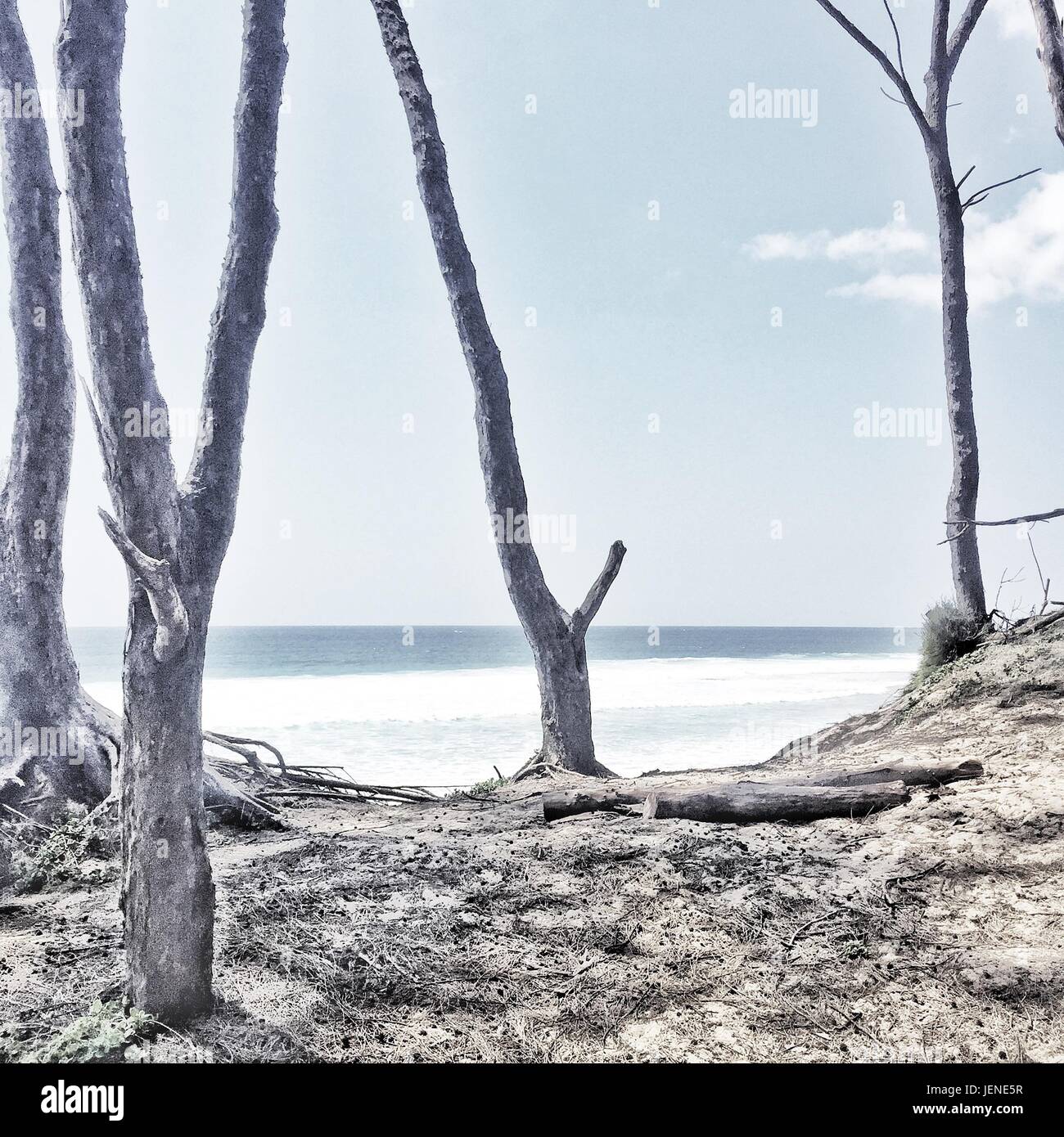 Sodwana hi-res stock photography and images - Alamy