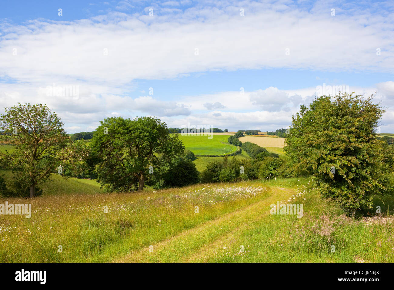 a grassy scenic footpath going through patchwork field scenery with ...