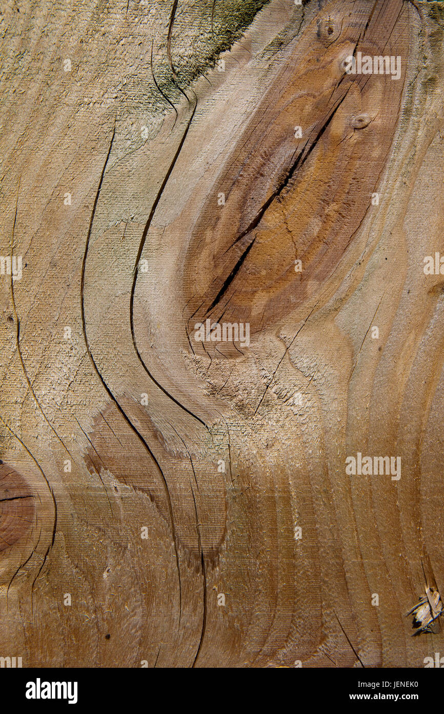 background image of cut timber with wood grain and knots Stock Photo ...