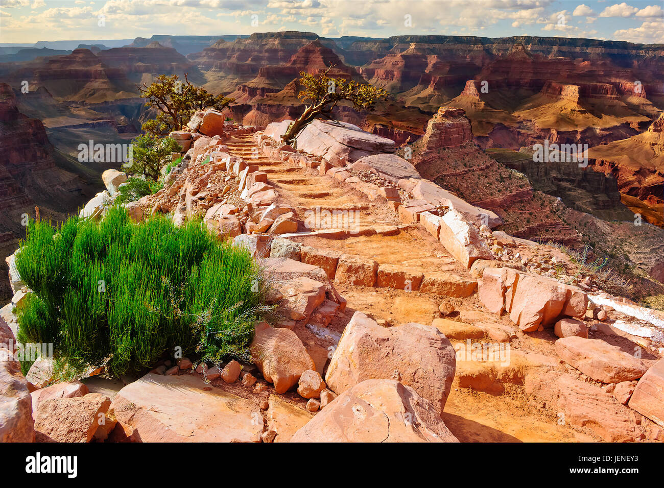The Steps to Cedar Ridge, South Rim, Grand Canyon, Arizona, United ...