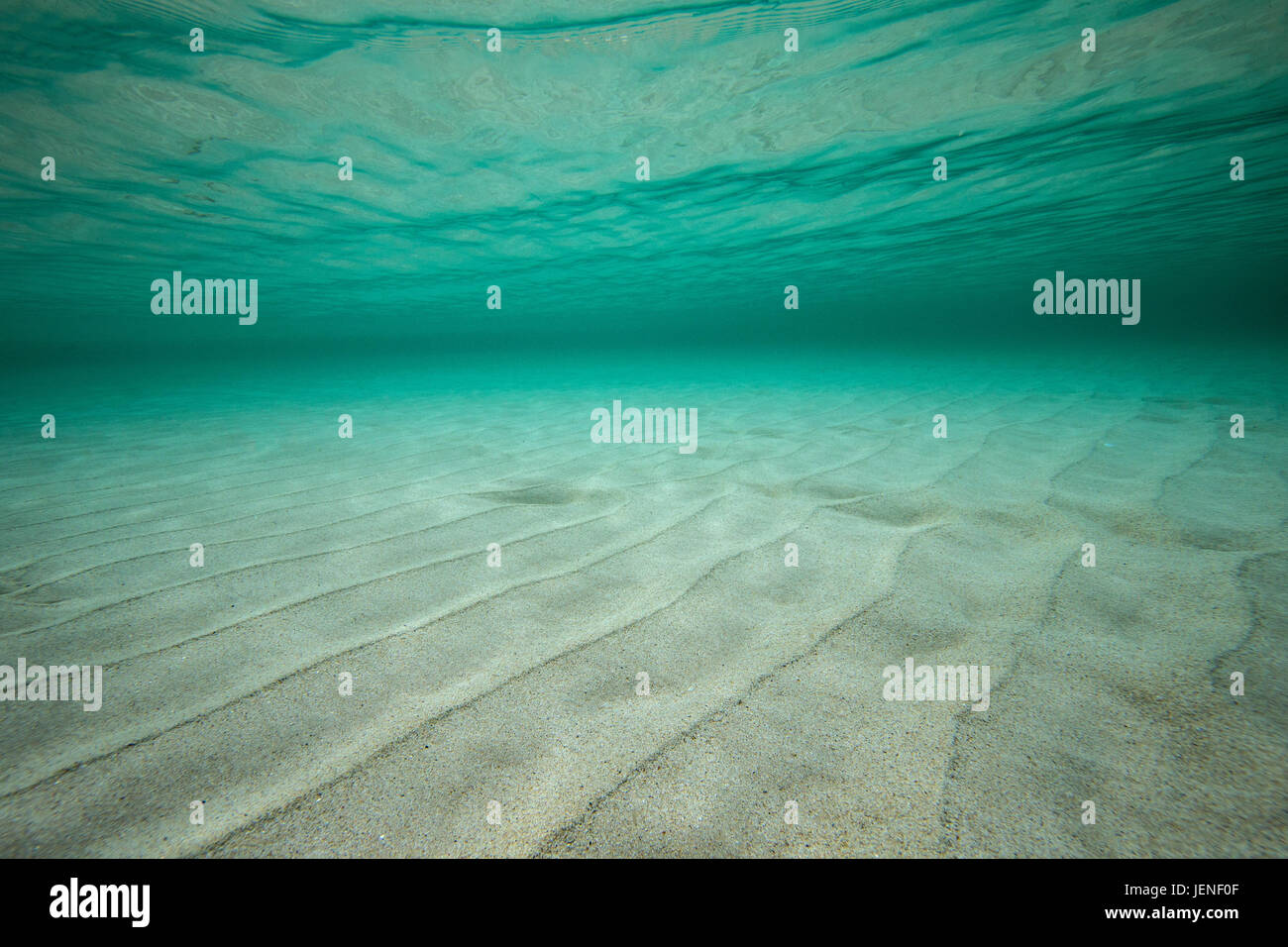 Ocean reflections and ripples underwater, Western Australia, Australia ...
