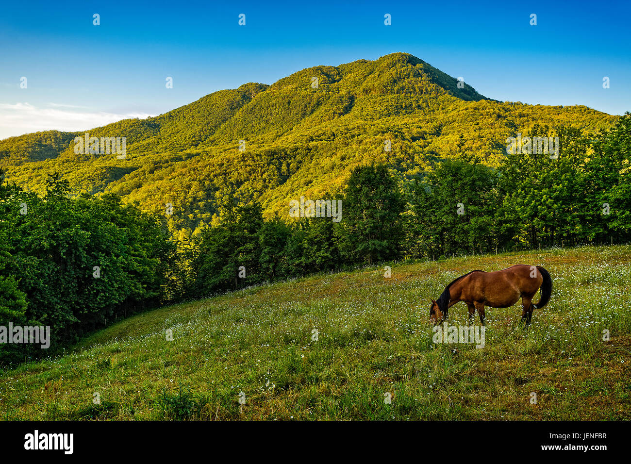 Paesaggio ligure hi-res stock photography and images - Alamy