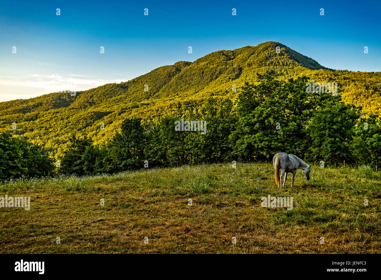 Italy Liguria Val di Vara Landscape Stock Photo - Alamy