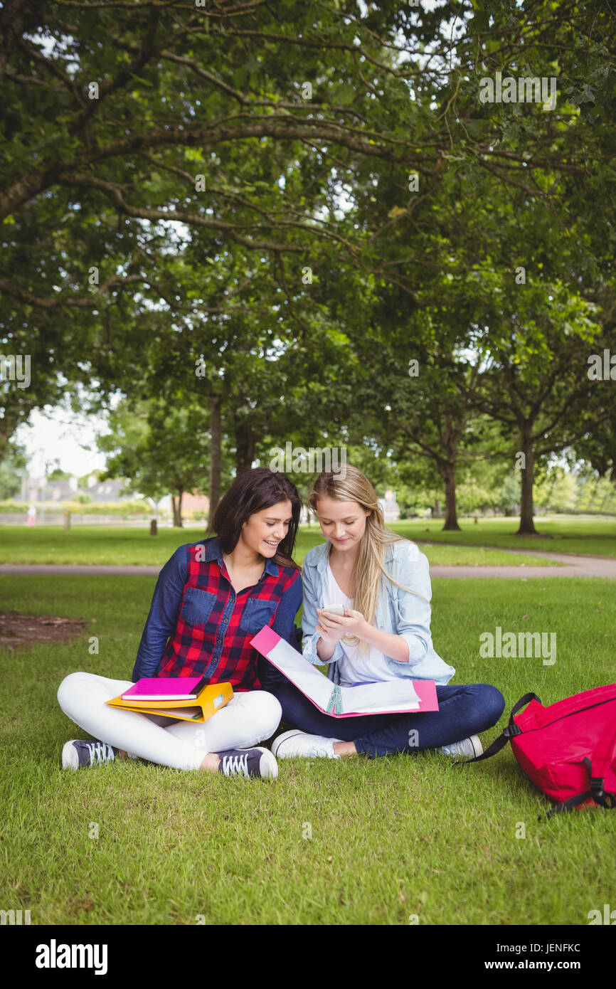 Smiling students studying outdoor Stock Photo - Alamy