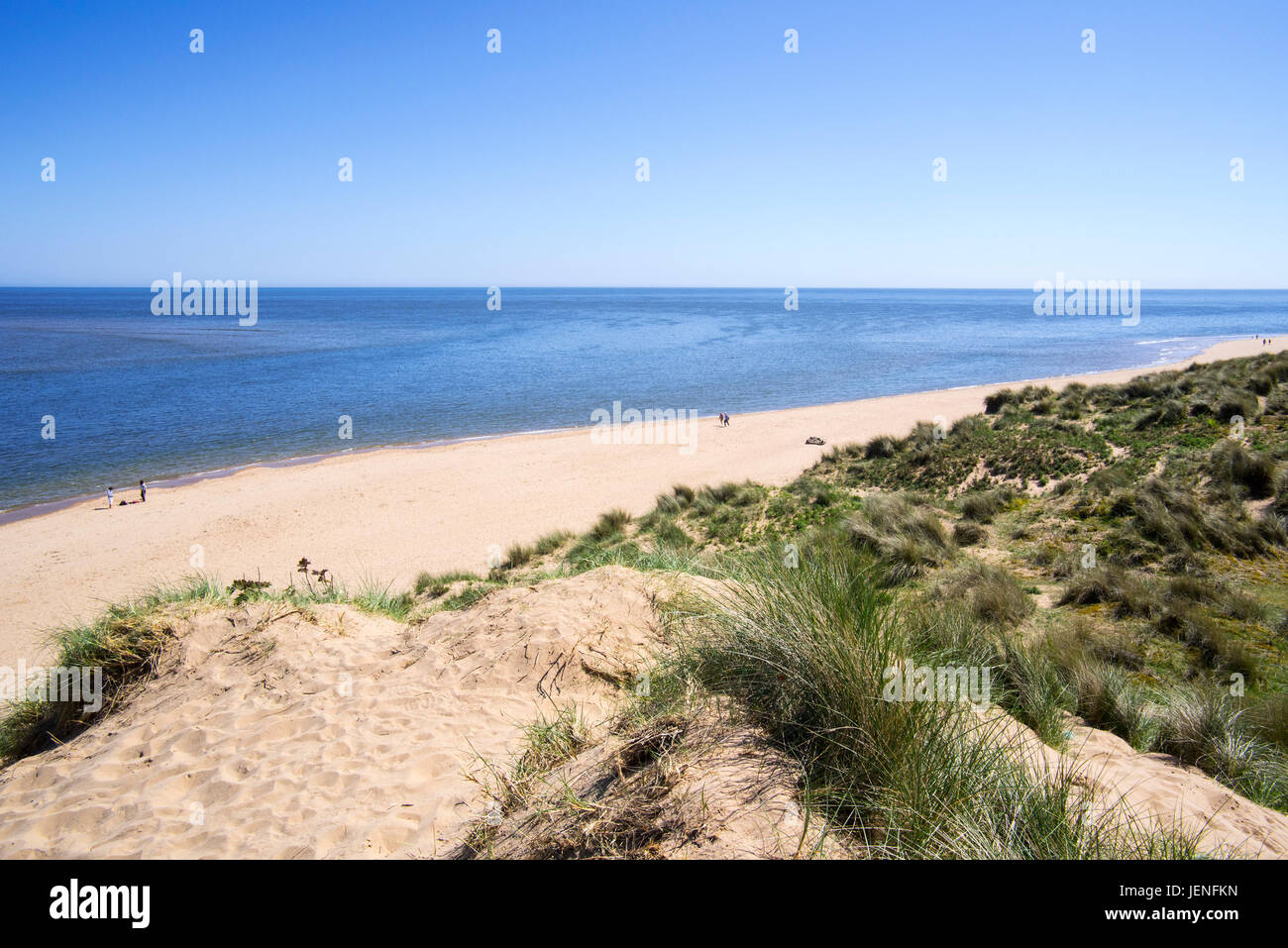 Forvie National Nature Reserve High Resolution Stock Photography and ...
