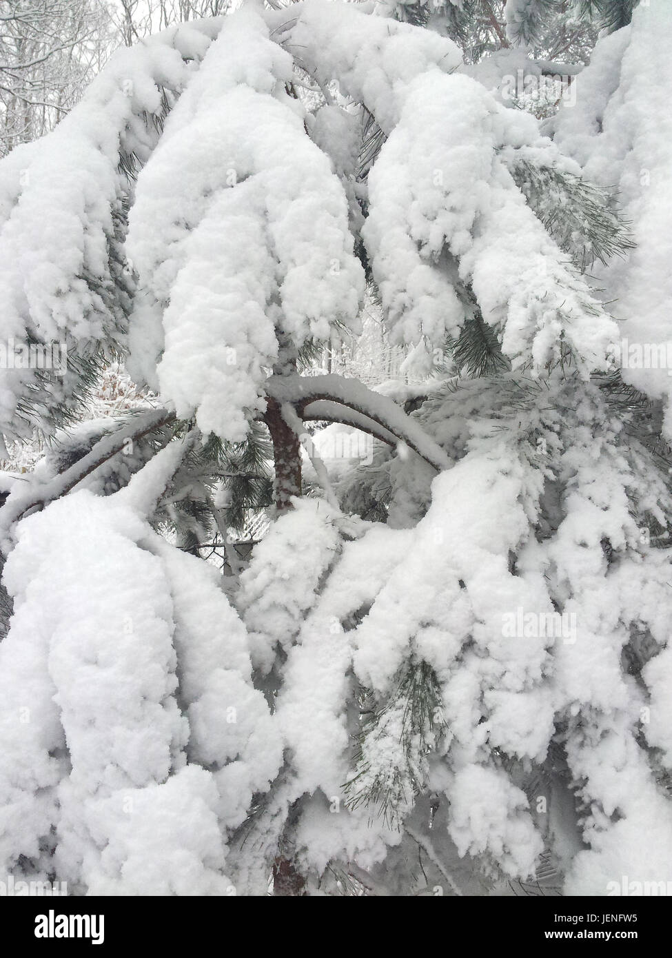 Snowstorms hi-res stock photography and images - Alamy