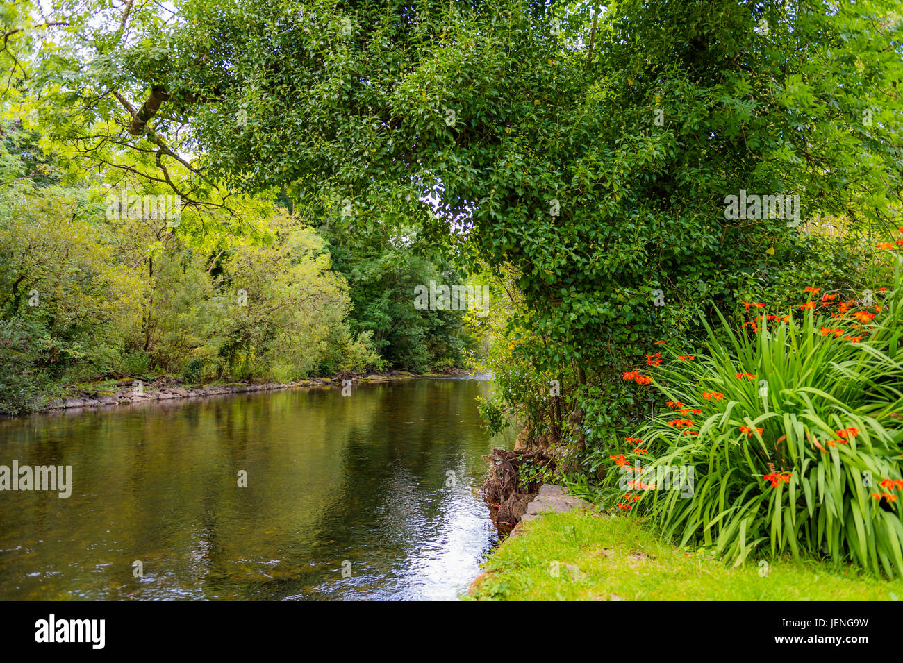 River cong mayo hi-res stock photography and images - Alamy