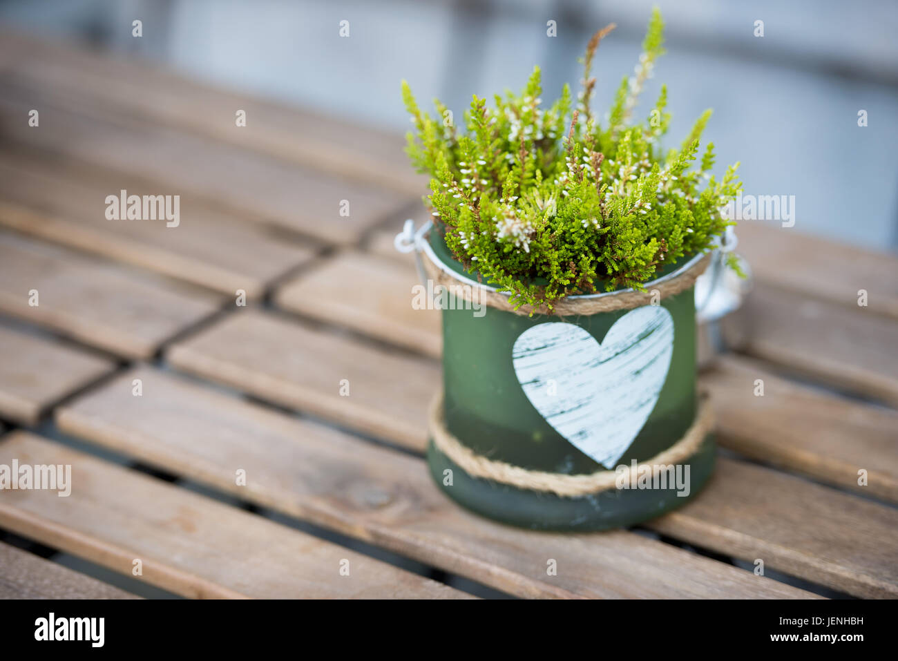 Green small pot with flowers and heart on the table in an outdoor cafe ...