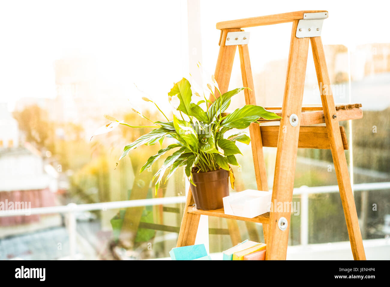 Step ladder plants hi-res stock photography and images - Alamy