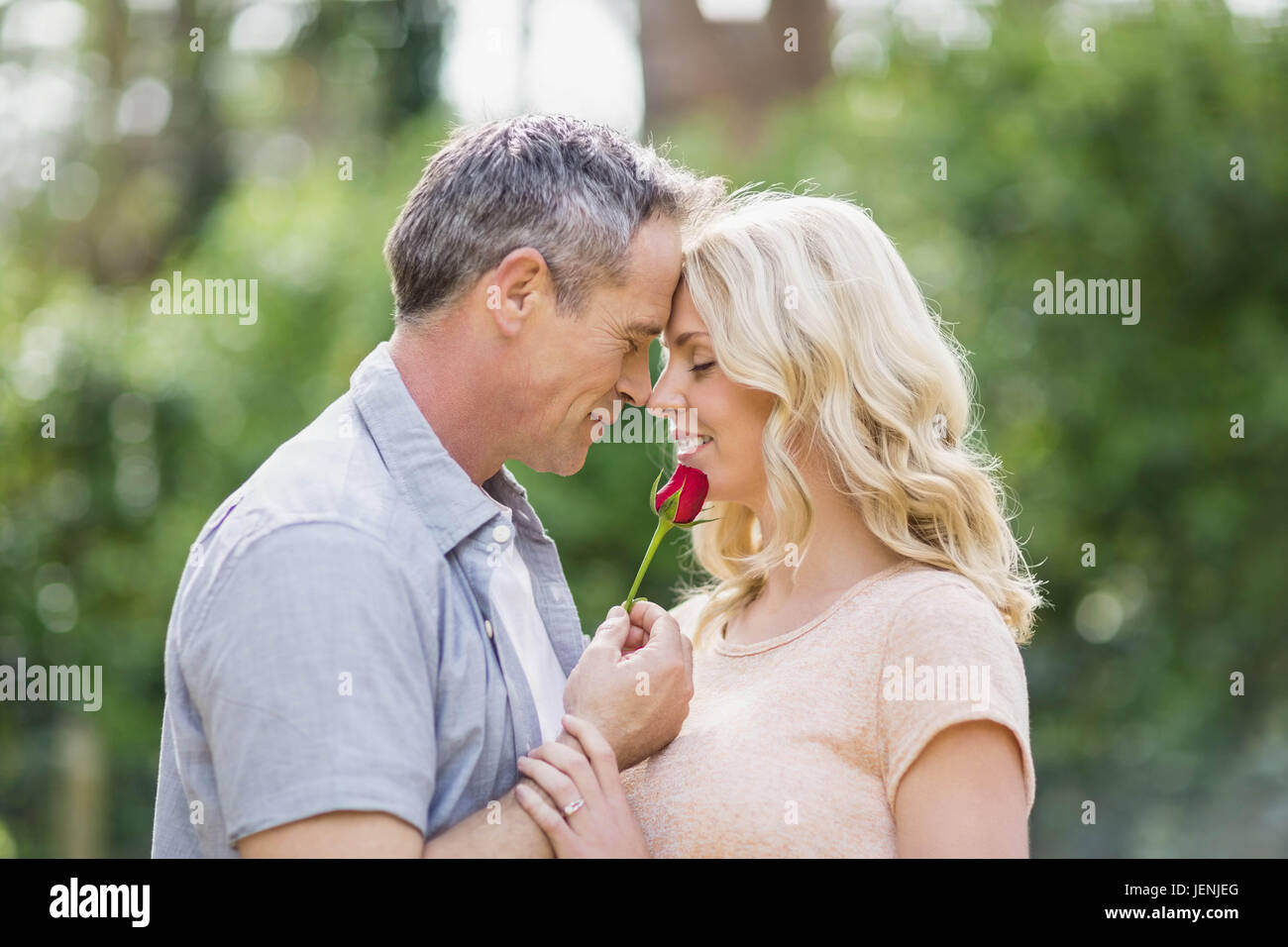 Husband offering a rose to wife Stock Photo - Alamy