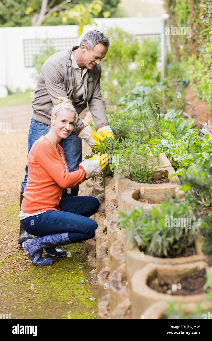 Cute couple doing some gardening Stock Photo - Alamy