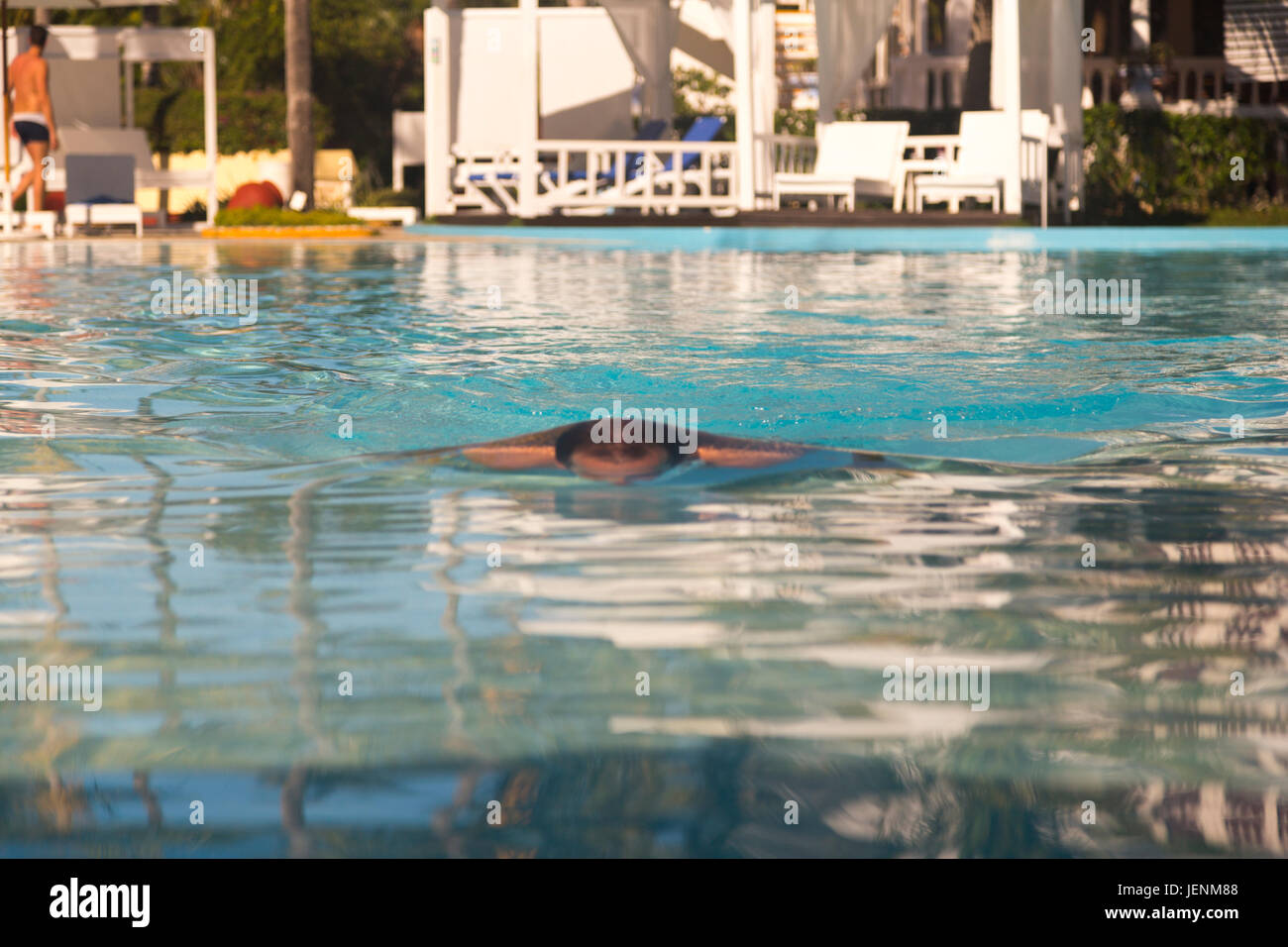 Young man swimming in the pool of Hotel Melia Cayo Coco, Cayo Coco ...