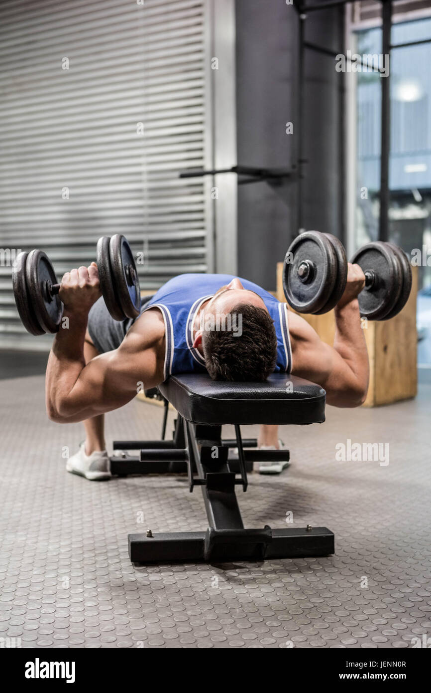Muscular man on bench lifting dumbbells Stock Photo - Alamy