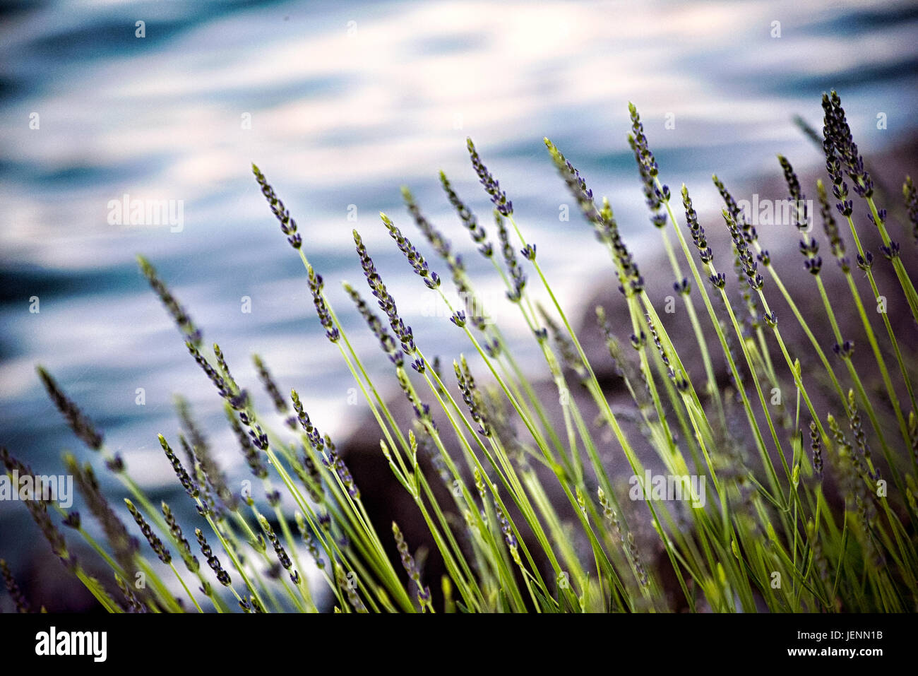 In the Deep Stock Photo - Alamy