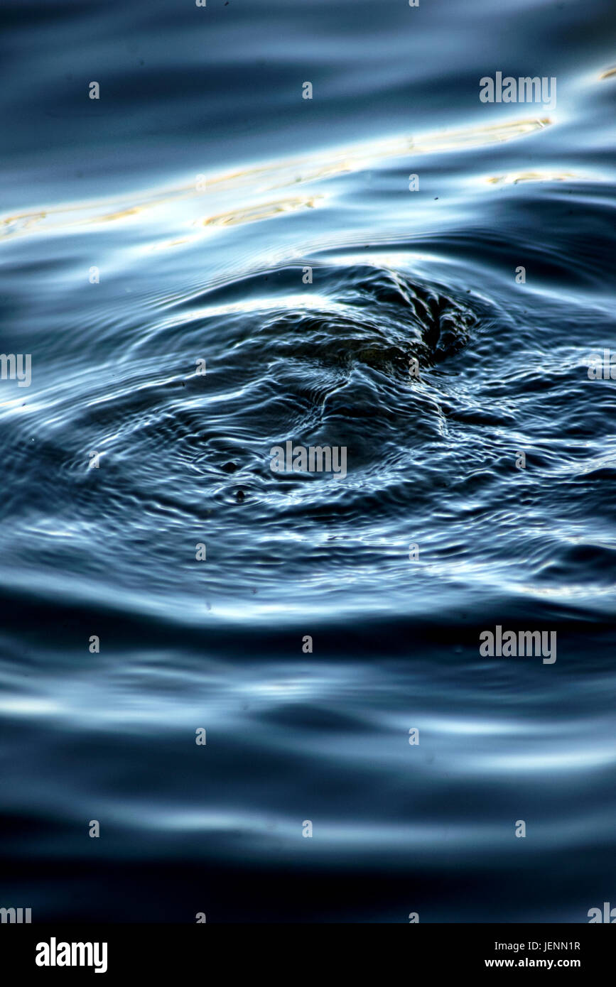 In the Deep—an early-morning, slow-shutter-speed shot capturing the ...