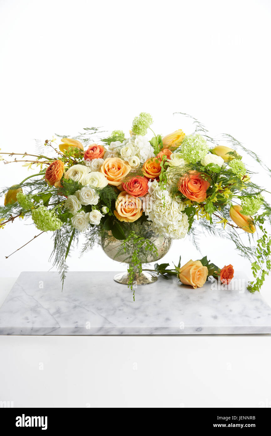 Studio photograph of white flower hi-res stock photography and images ...