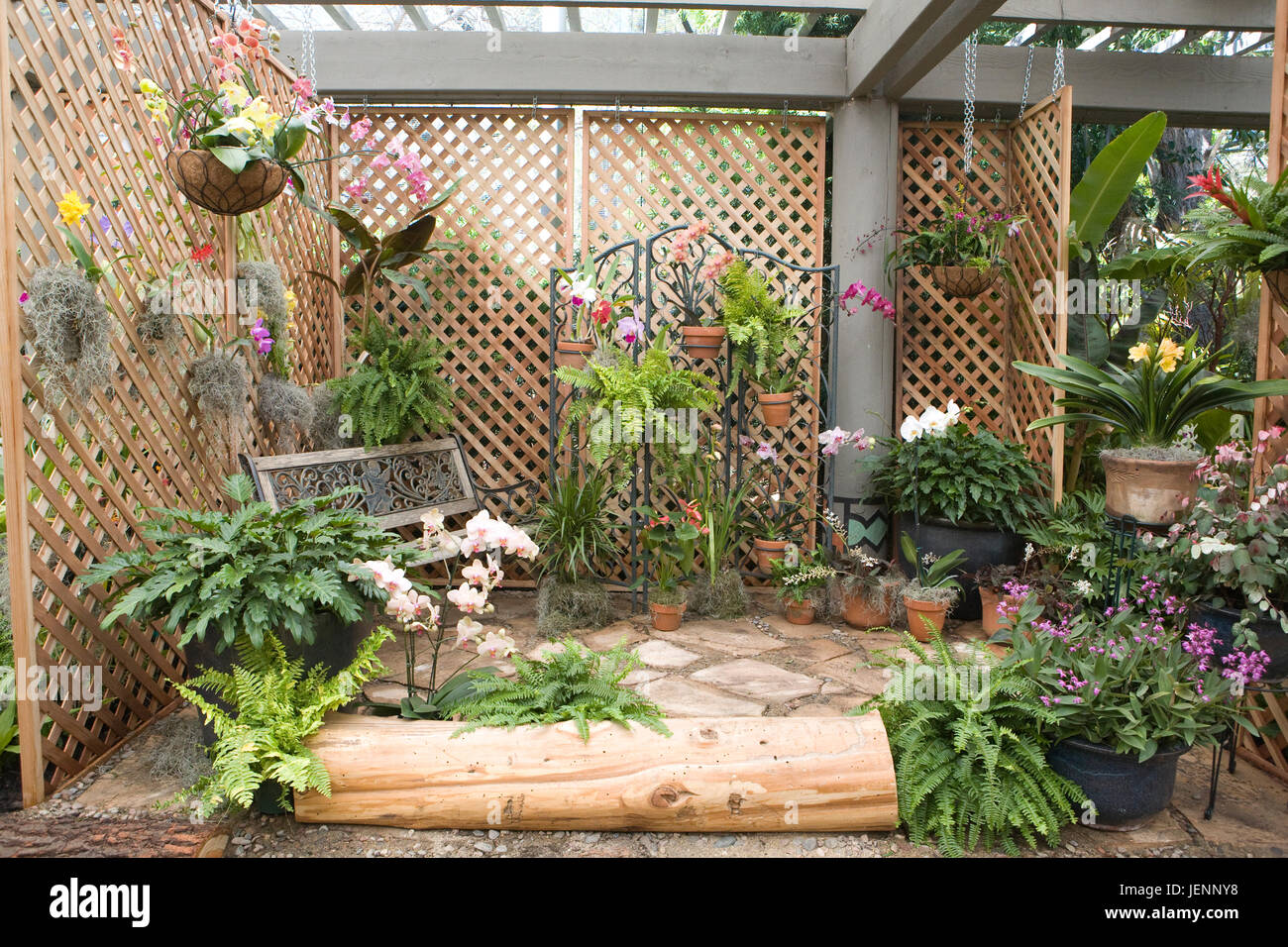 Orchids on display at the San Diego Wild Animal Park Stock Photo - Alamy