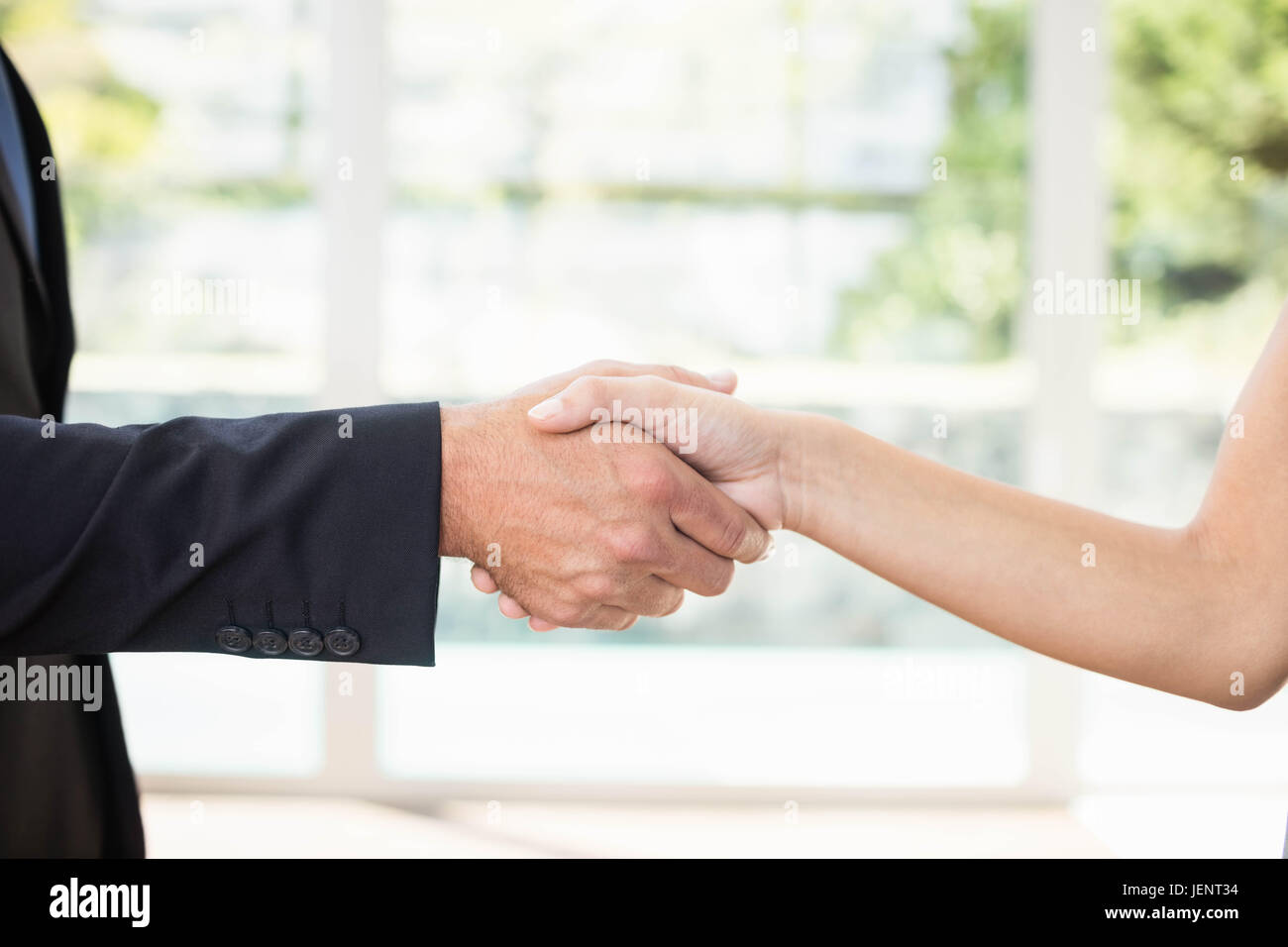 Real estate agent shaking agreement hi-res stock photography and images ...
