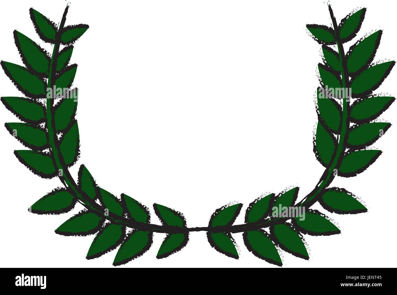 drawing crown half flower natural decoration laurel leaves Stock Vector ...