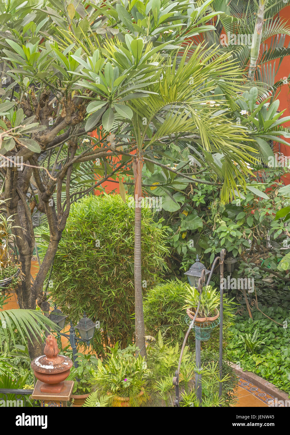 Plants and Trees Courtyard Stock Photo - Alamy