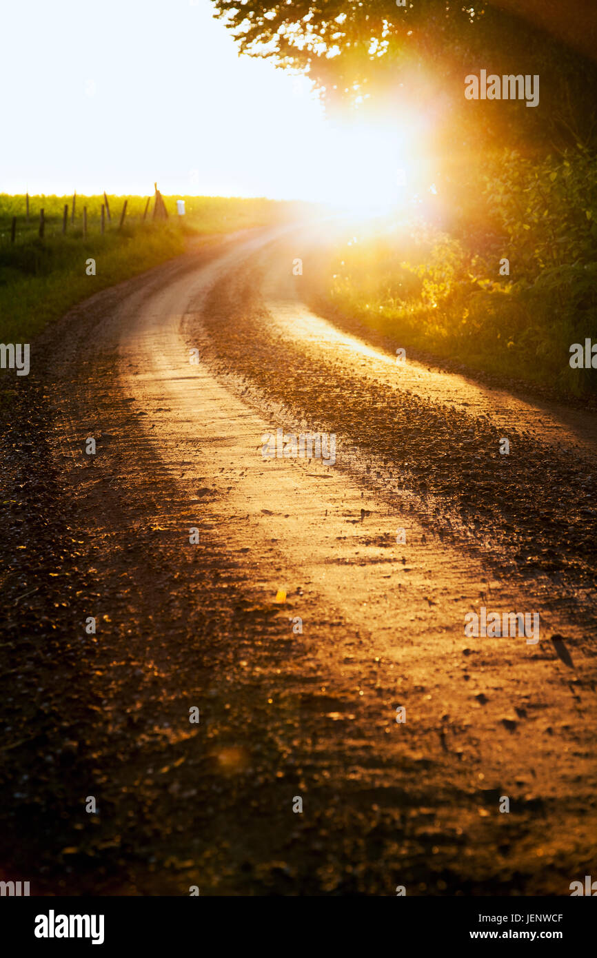 Sway back hi-res stock photography and images - Alamy