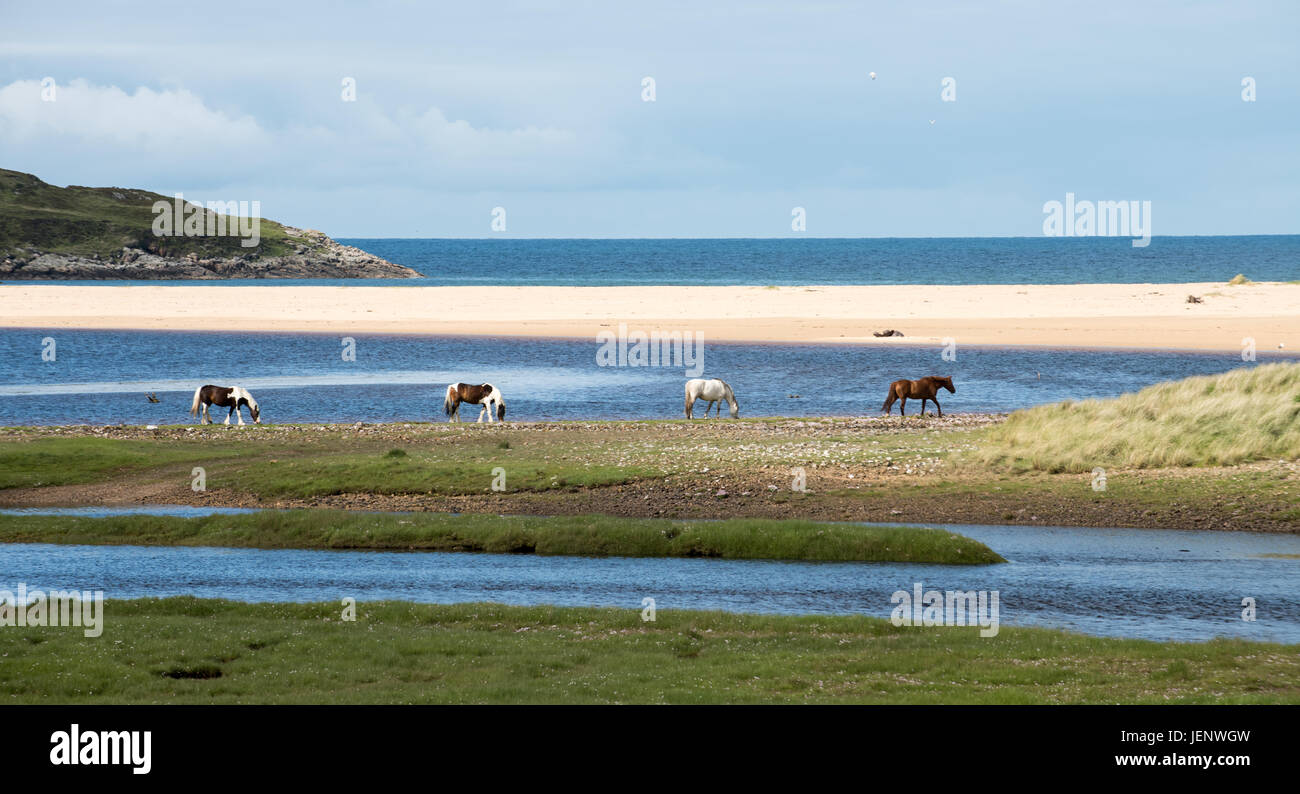 River borgie hi-res stock photography and images - Alamy